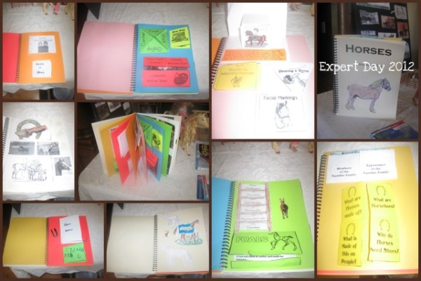 H is for Horse Unit Study | Homeschool Discoveries