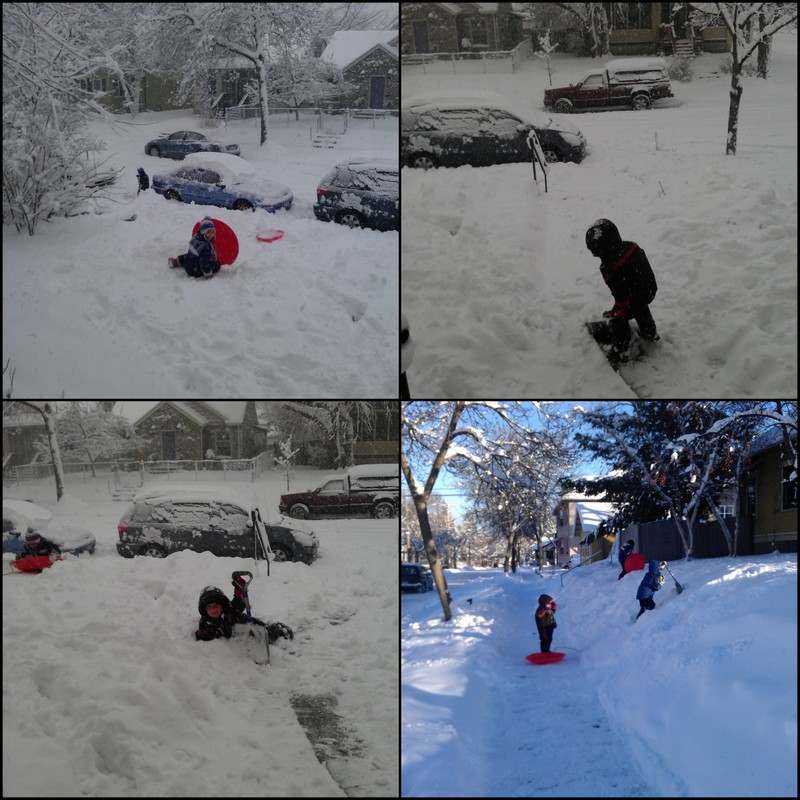 Collage Friday: Snow! | Homeschool Discoveries